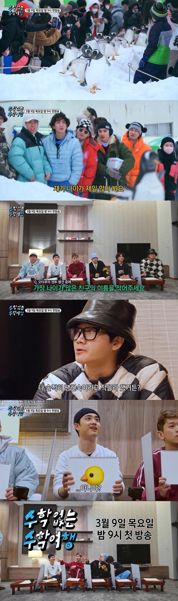 SBS PR : ★전체보기★ : [SBS 수학 없는 수학여행] 도경수, 펭귄으로 만들어내는 예능감! 티저부터 기대감 ↑ : SBS