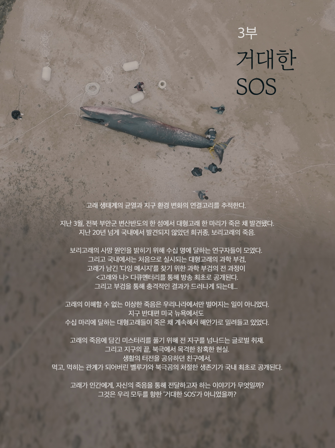 고래와 나 : [3부] 거대한 SOS : SBS